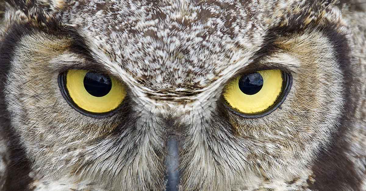 Selbstversorger Ausbildung | NEVEREST Lifelong Learning