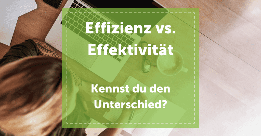 Effizienz vs. Effektivität | NEVEREST Lifelong Learning