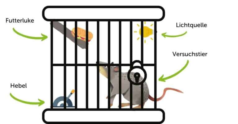 Burrhus F. Skinner - Operante Konditionierung