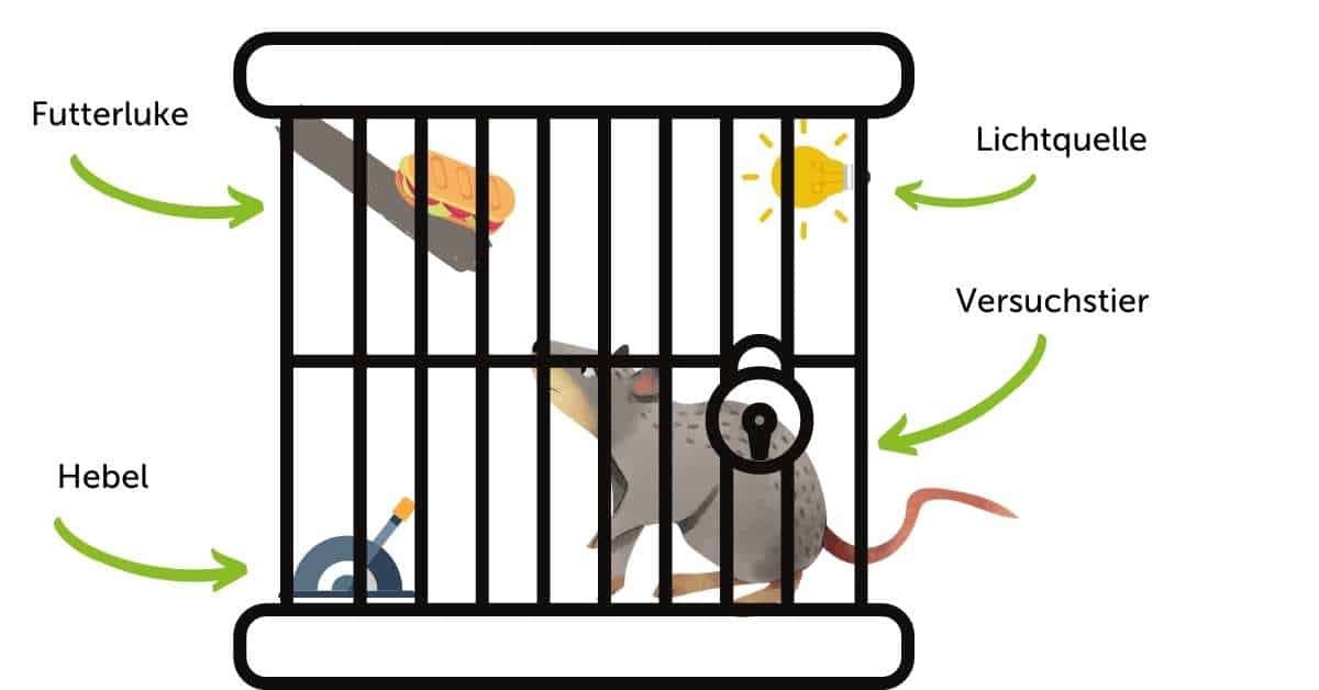 Burrhus F. Skinner - Operante Konditionierung