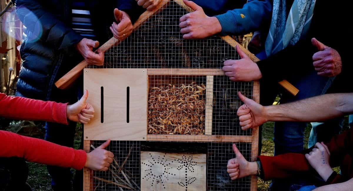 Insektenhotel bauen | NEVEREST | Business Training