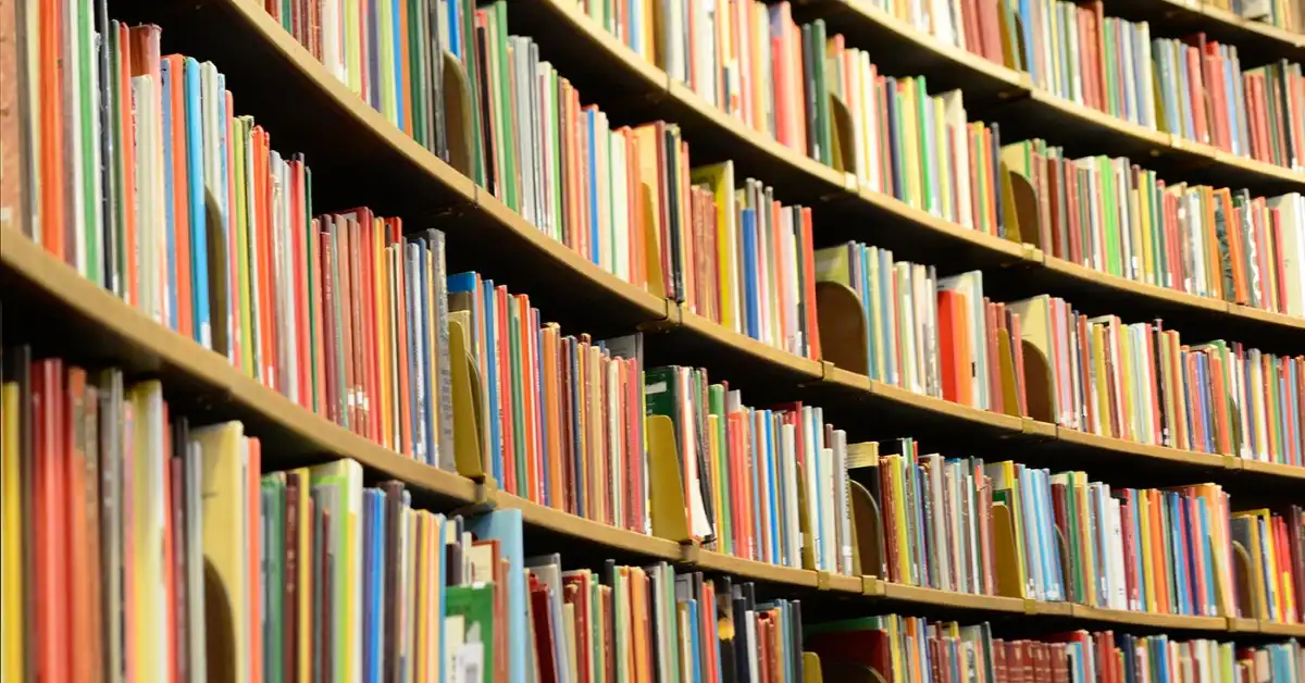 Publikationen unser Trainer*innen | NEVEREST