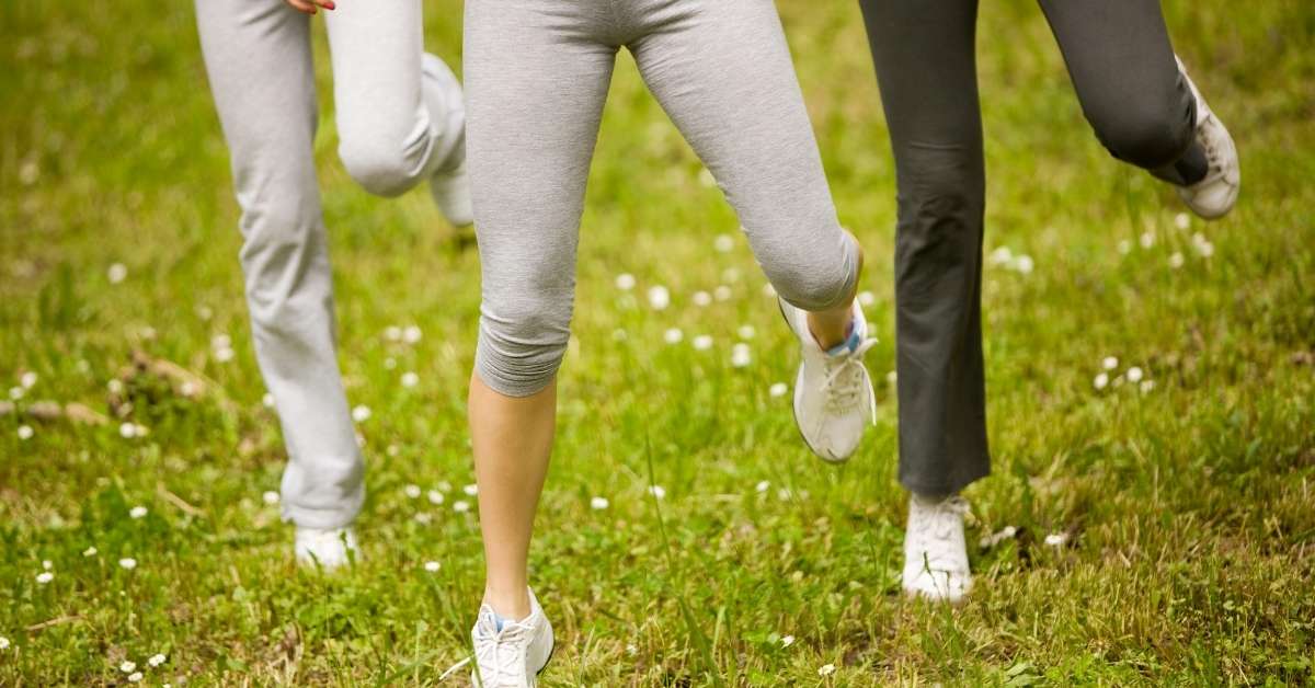 Kontaktpunkte | NEVEREST Lifelong Learning